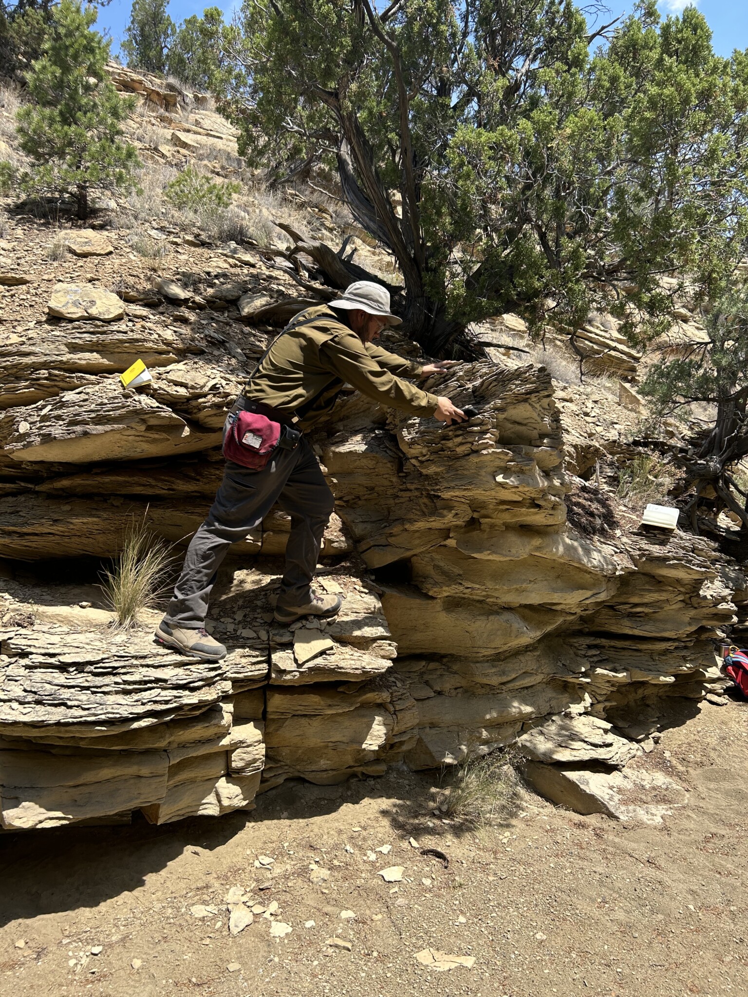 Programs & Research - Reynolds Field Station